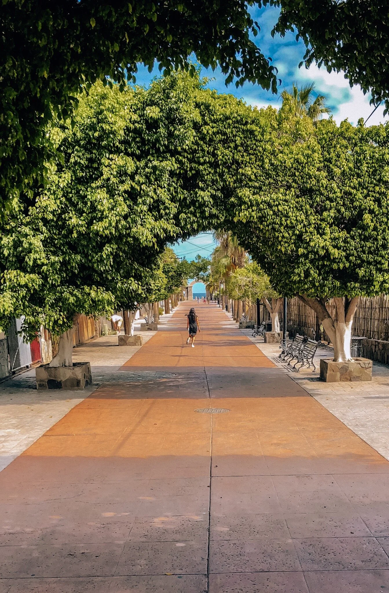 Loreto Love: Our Family Trip to Baja Sur — Amy Draheim — Travel Blog