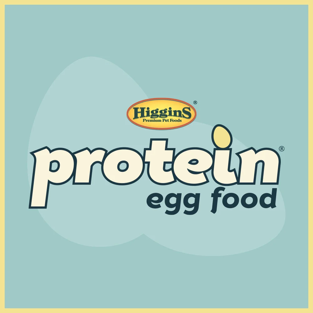 Companion Bird Treats — Higgins Premium Pet Foods