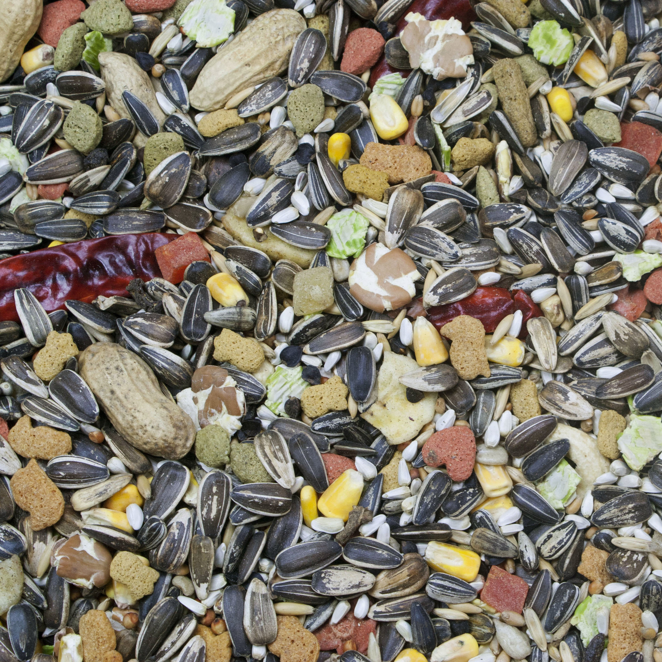 Higgins Parrot Food Higgins Vita Seed Parrot Food - 3 Lb Bag With ...