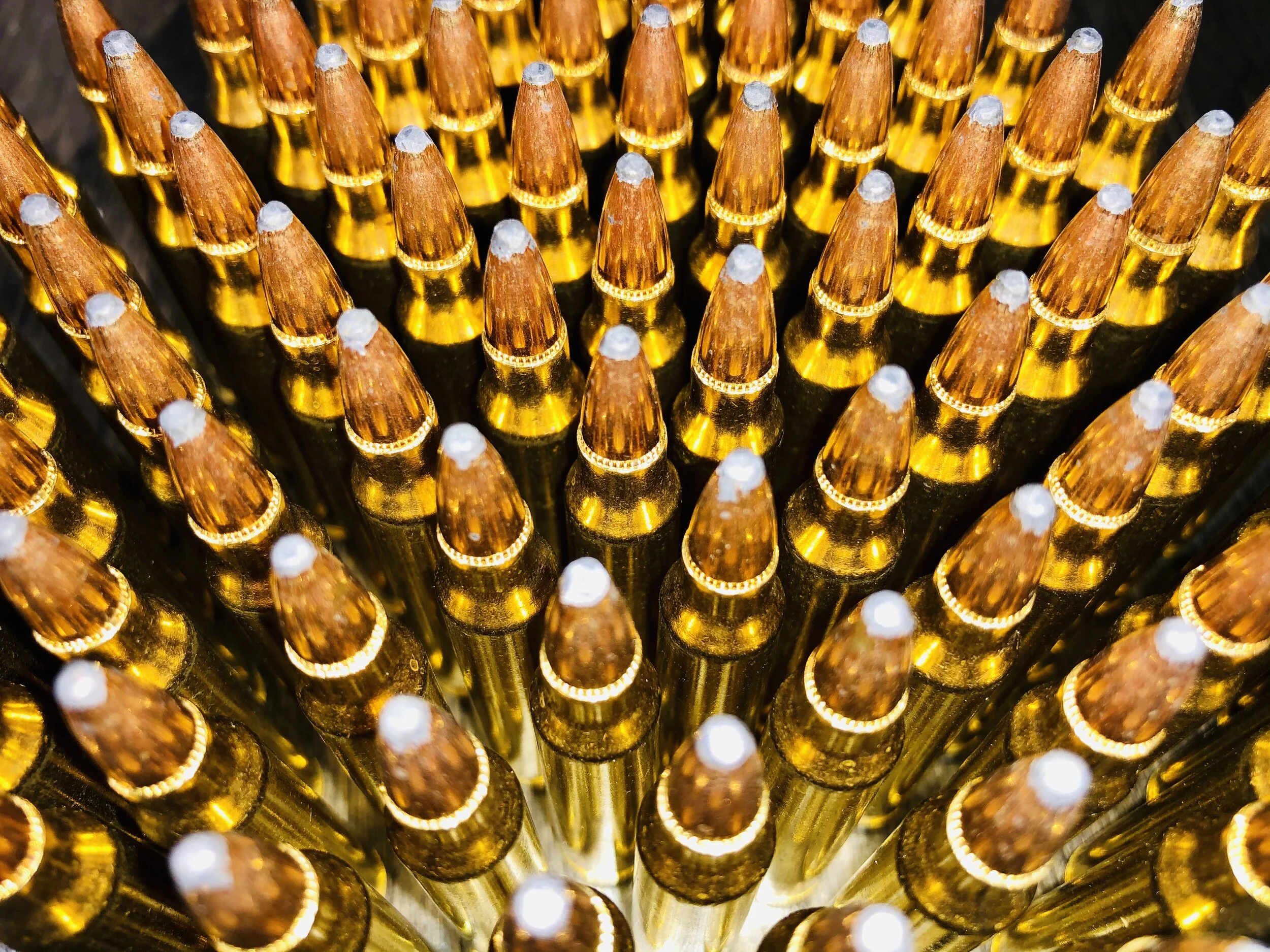 Fortis Ammo Sales — Fortis defense