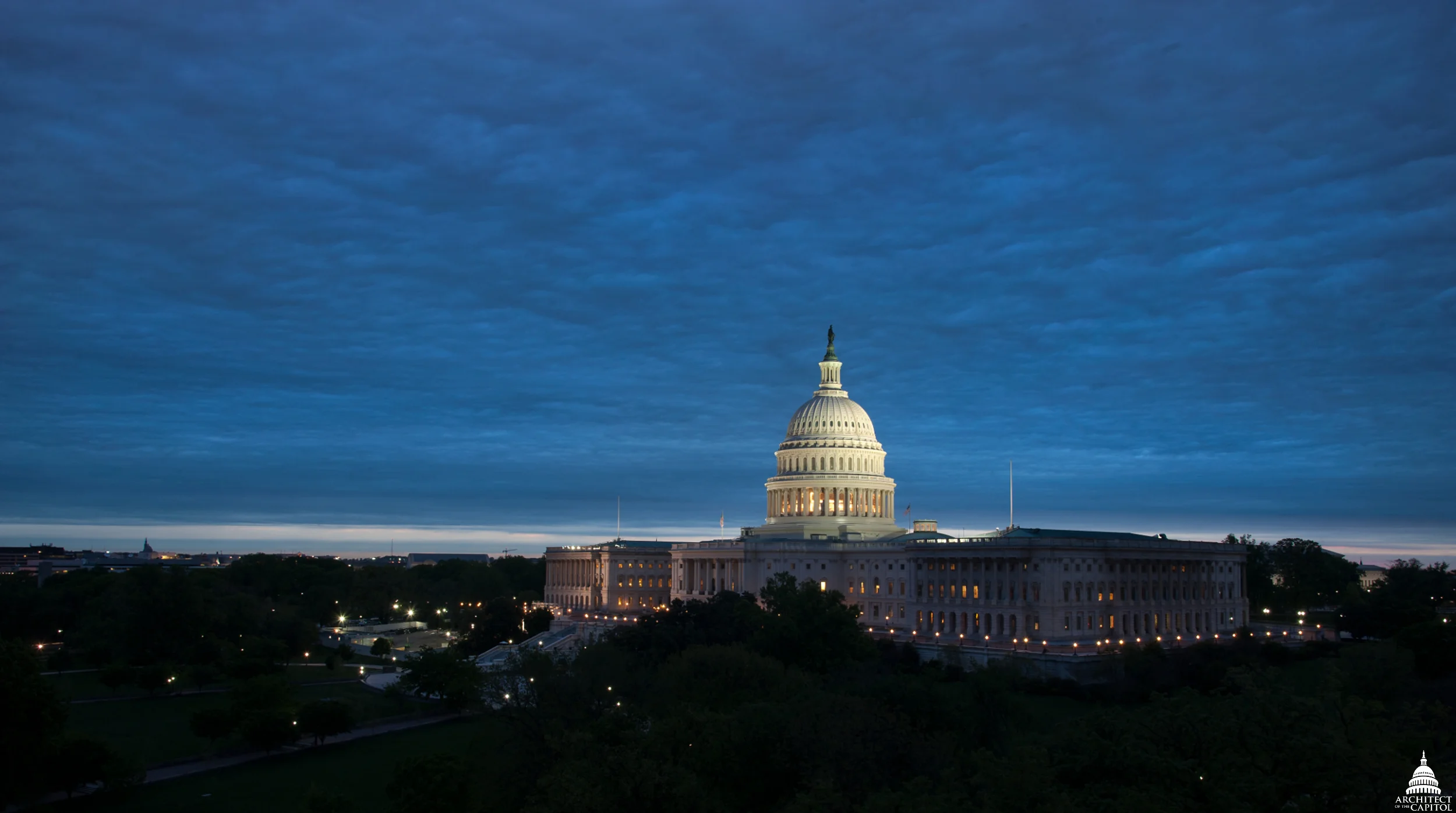 Cloud Policy Professional- About Me — Alla Goldman Seiffert