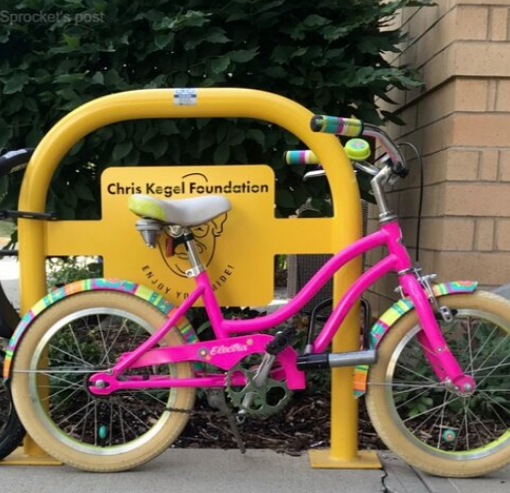 Current Projects — Chris Kegel Foundation, Inc.