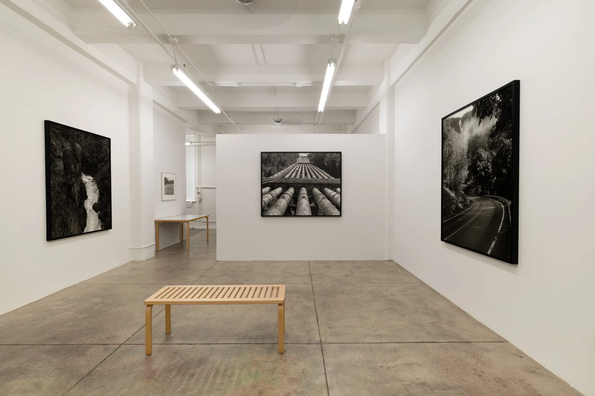 Deborah Bell Photographs