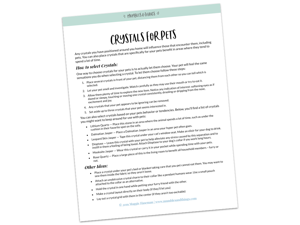 The Basics for Using Crystals to Heal Your Pets — Mumbles & Things