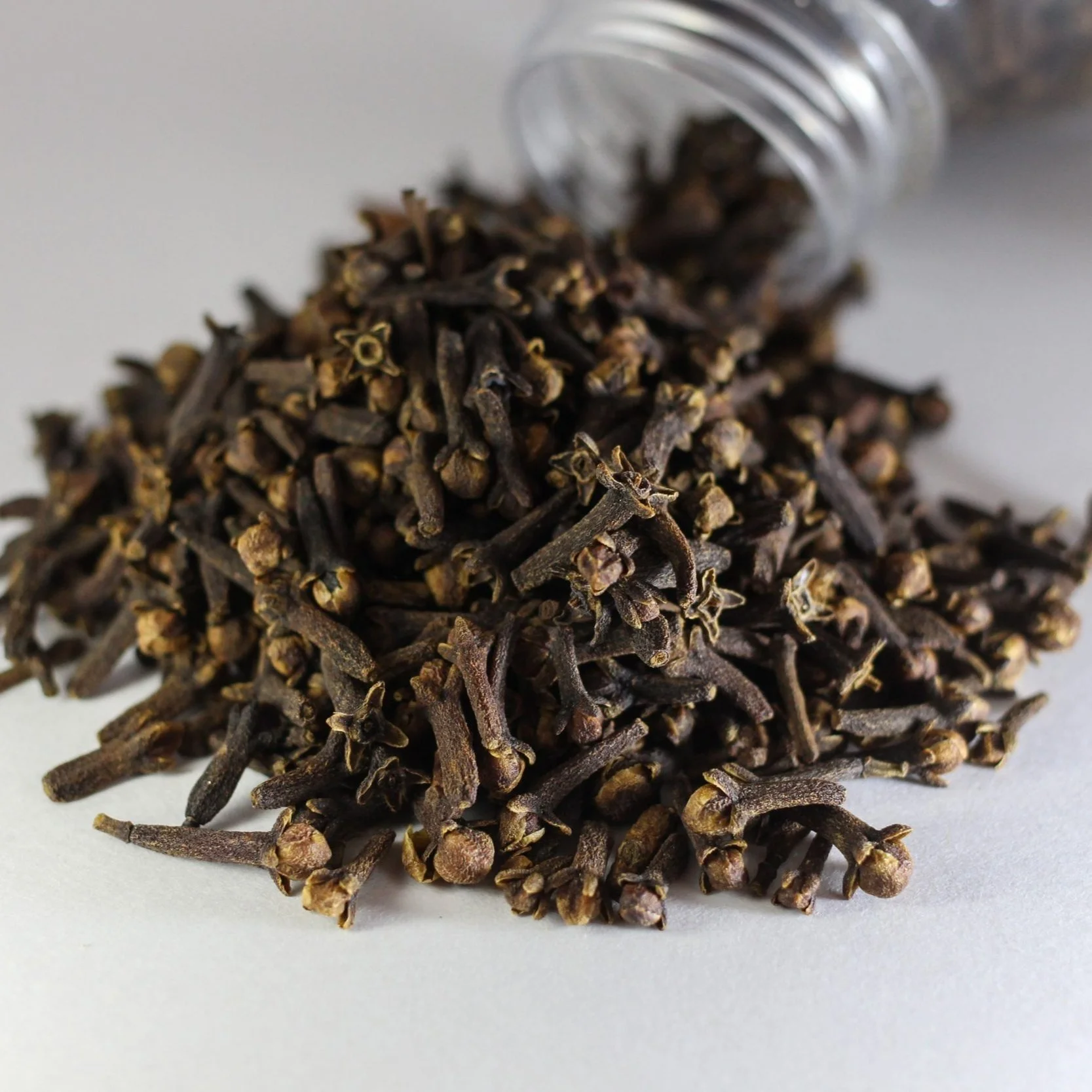 Interacting with Animal Spirits — Mumbles & Things