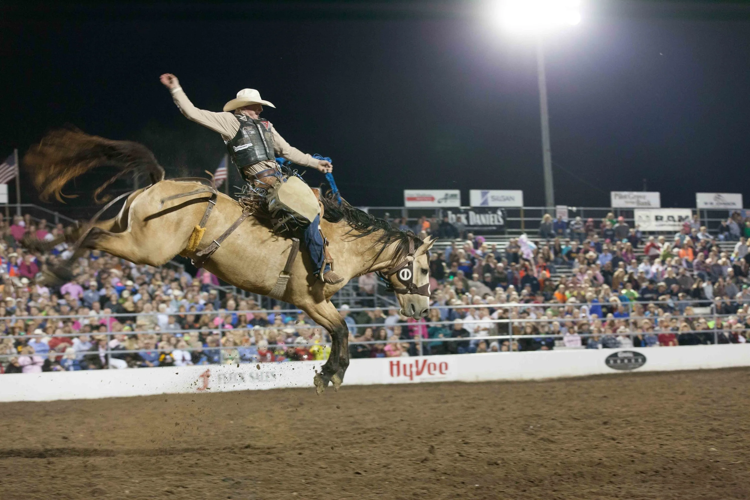 What We Do — Cervi Championship Rodeo