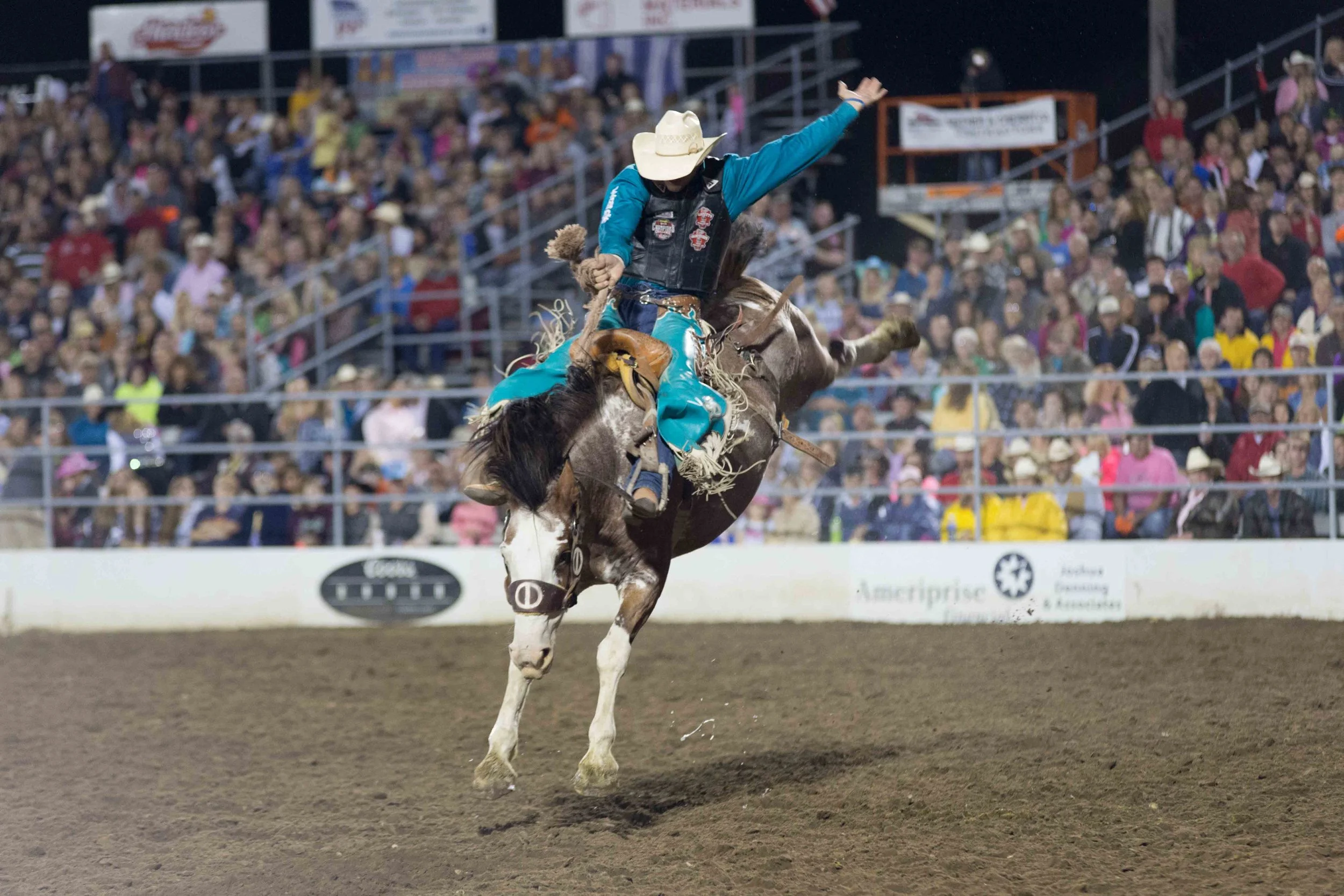 What We Do — Cervi Championship Rodeo
