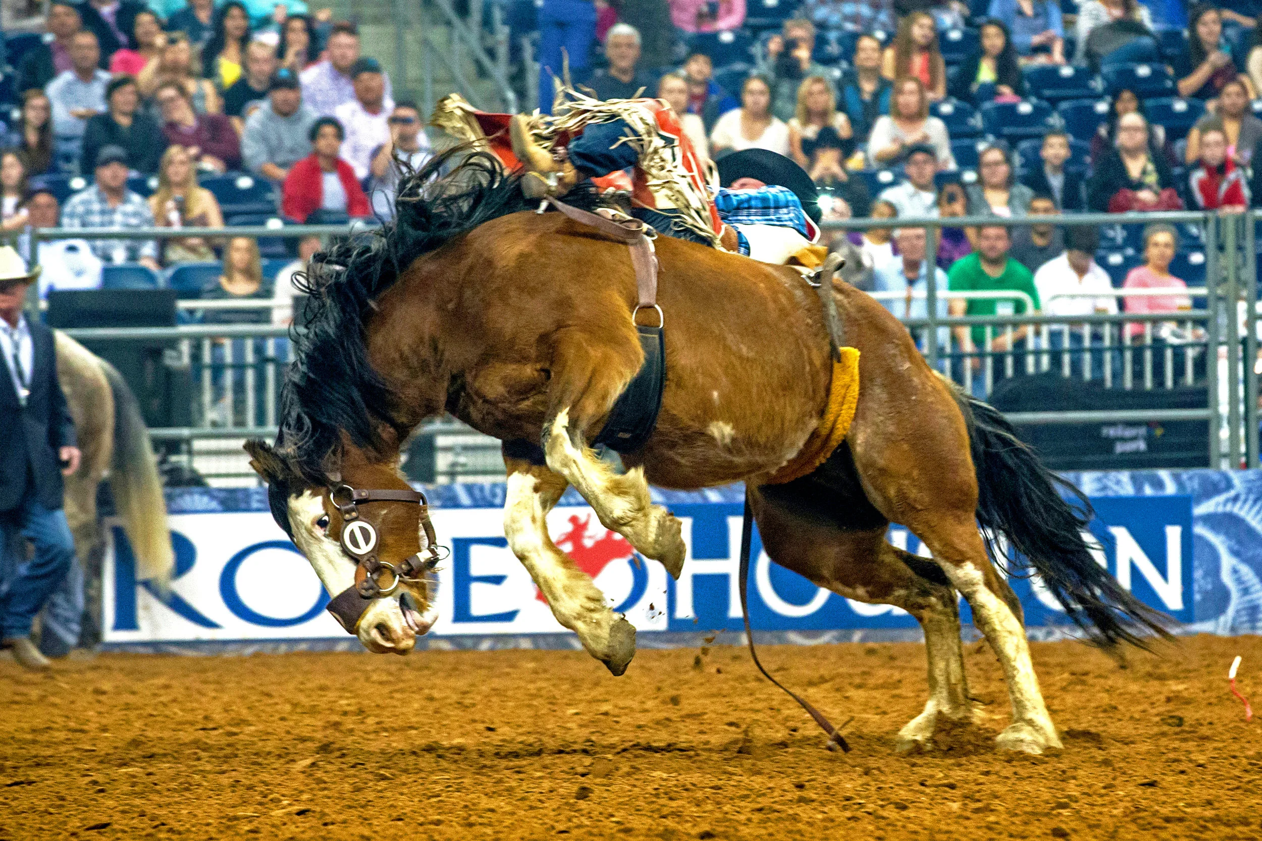 What We Do — Cervi Championship Rodeo