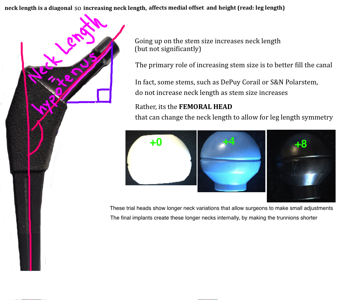 STEM PLACEMENT — Hip & Knee Book