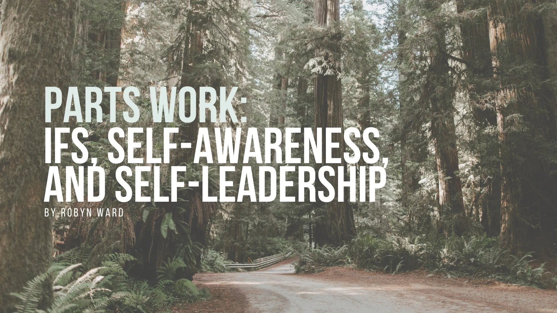 Parts Work: IFS, Self-Awareness, and Self-Leadership — FounderForward ...