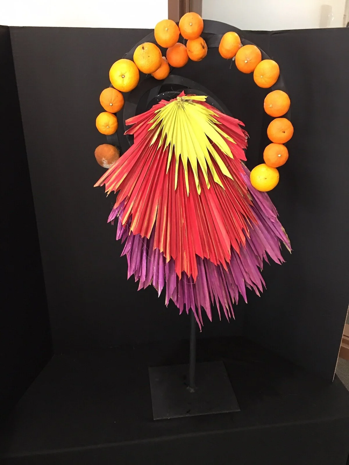 Library Displays 2017 - 2019 — The Bartram Garden Club, Inc.