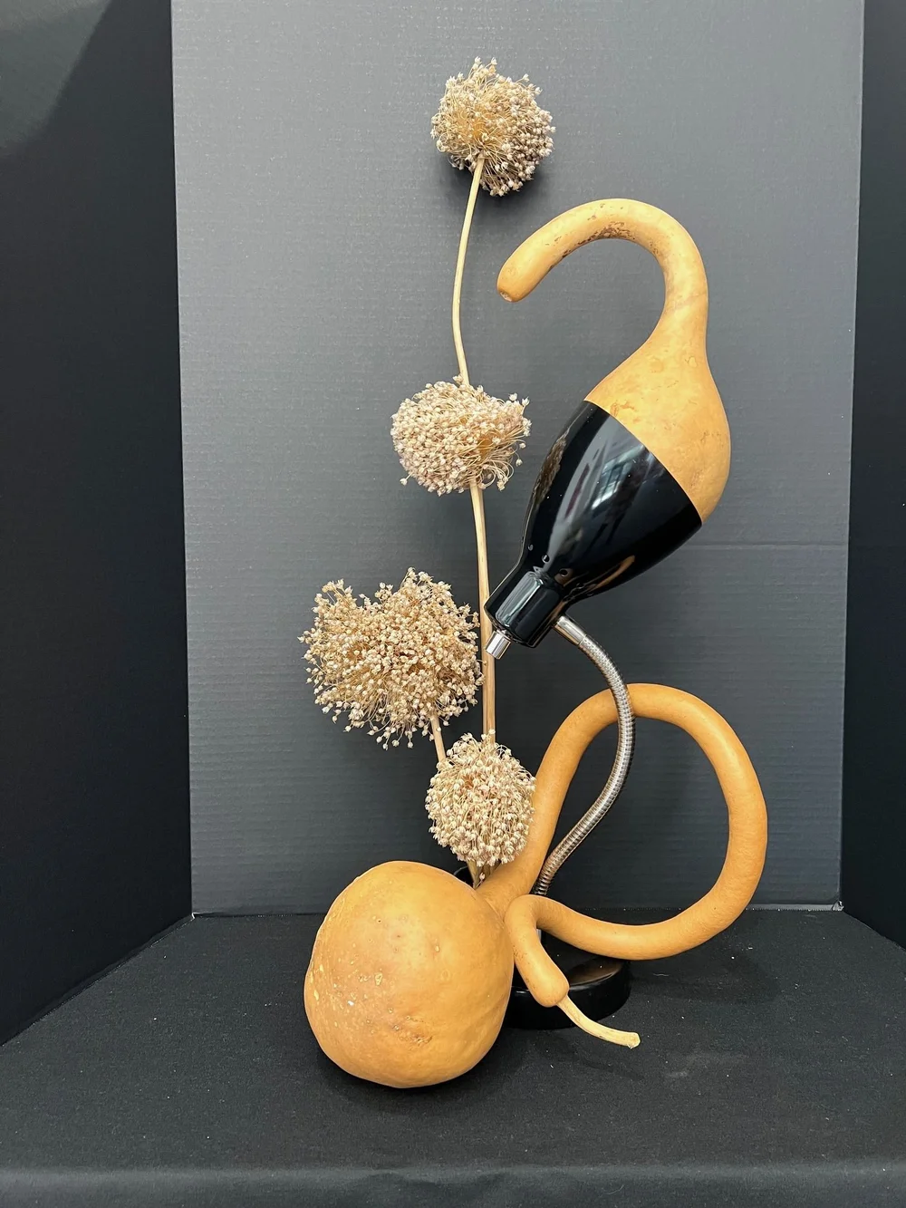 Library Displays 2023 - 2024 — The Bartram Garden Club, Inc.