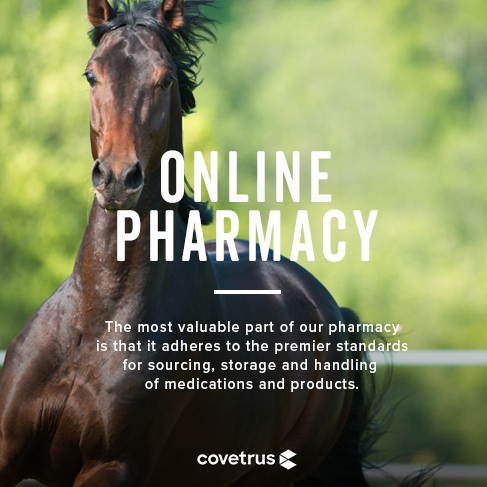 Dunlap Equine Services