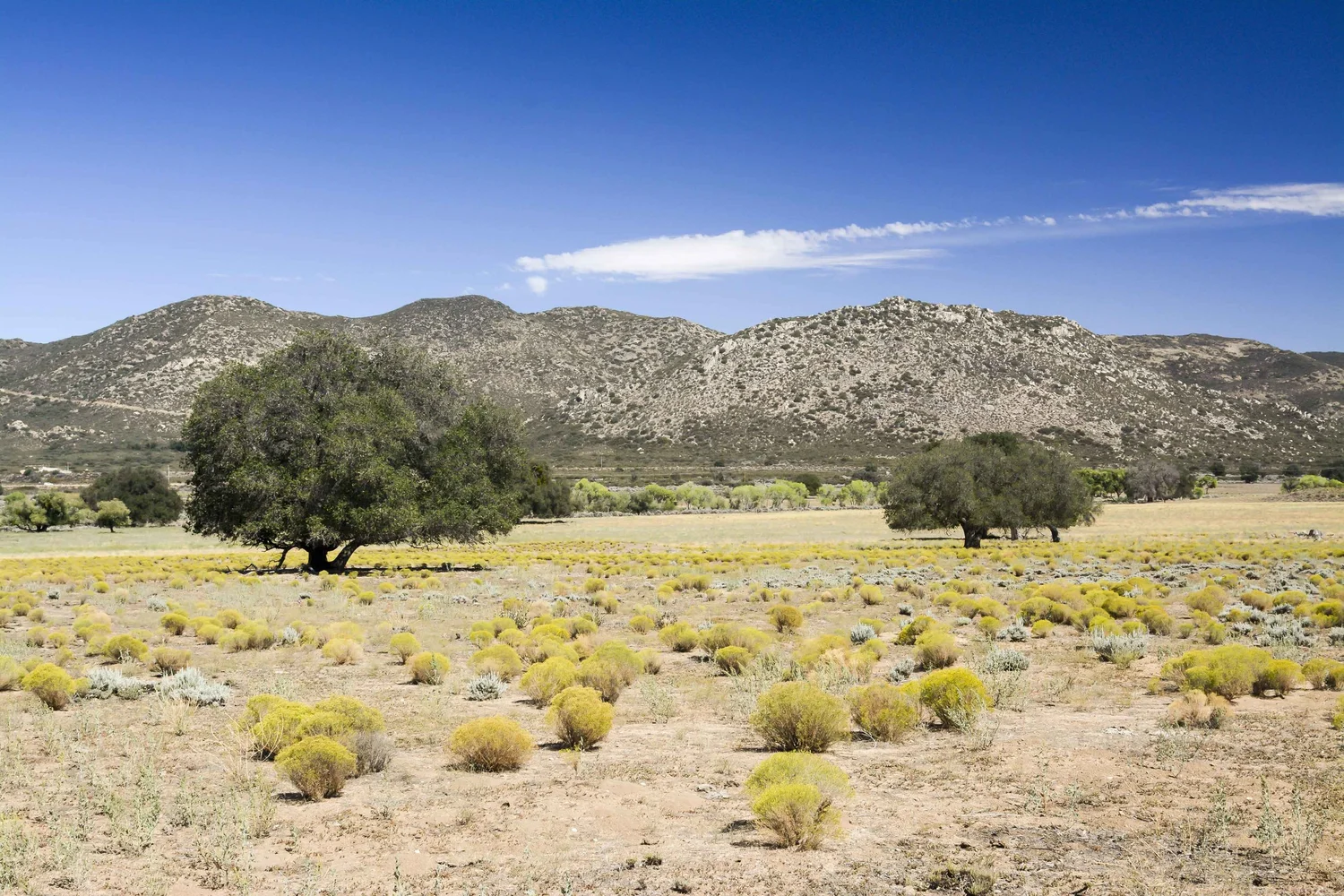 Our Campus — San Diego Freedom Ranch