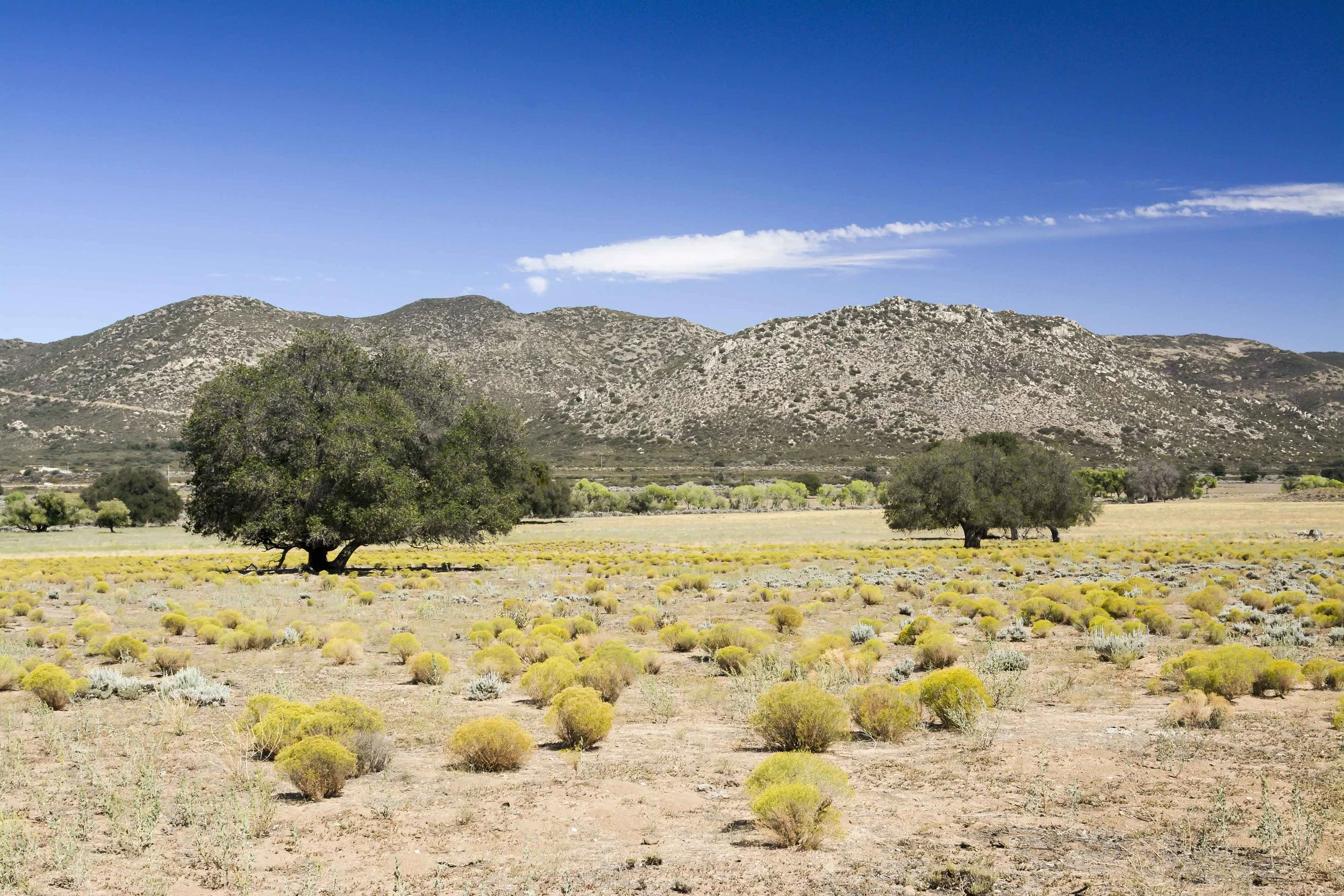 Our Campus — San Diego Freedom Ranch