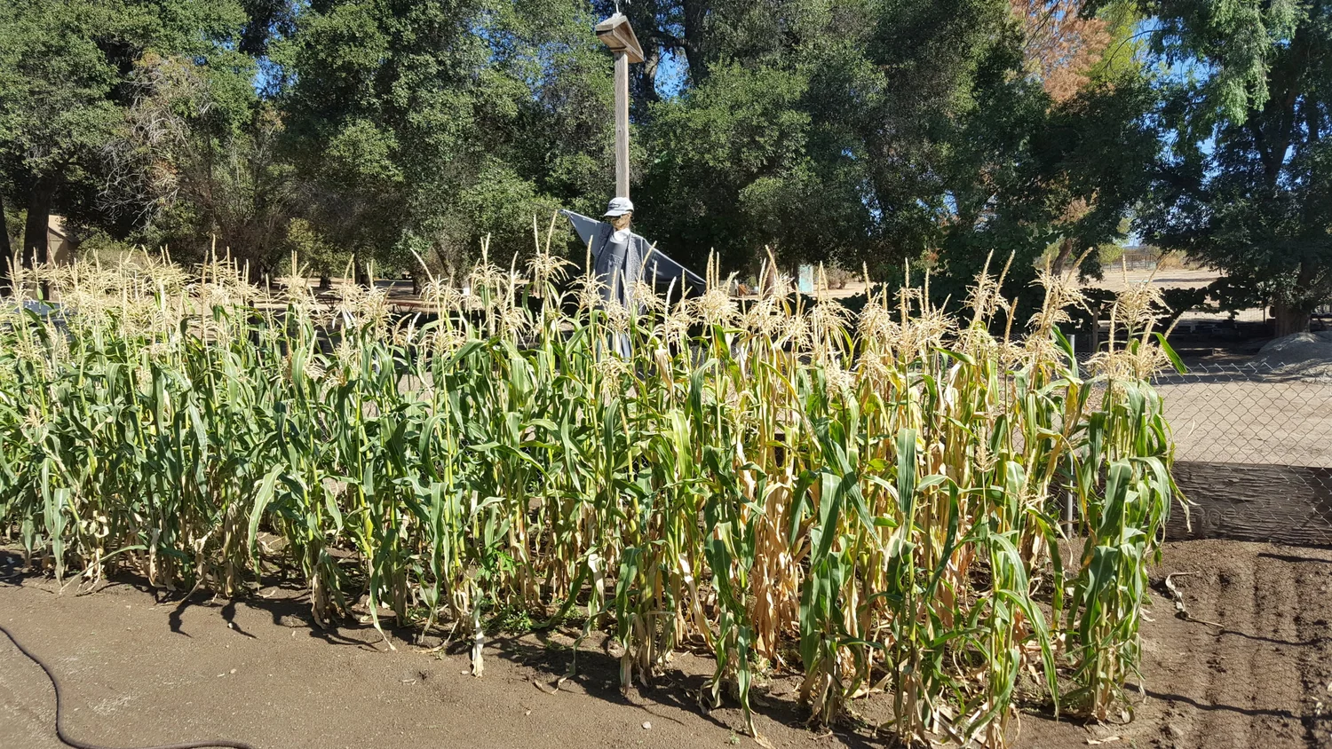 Our Campus — San Diego Freedom Ranch