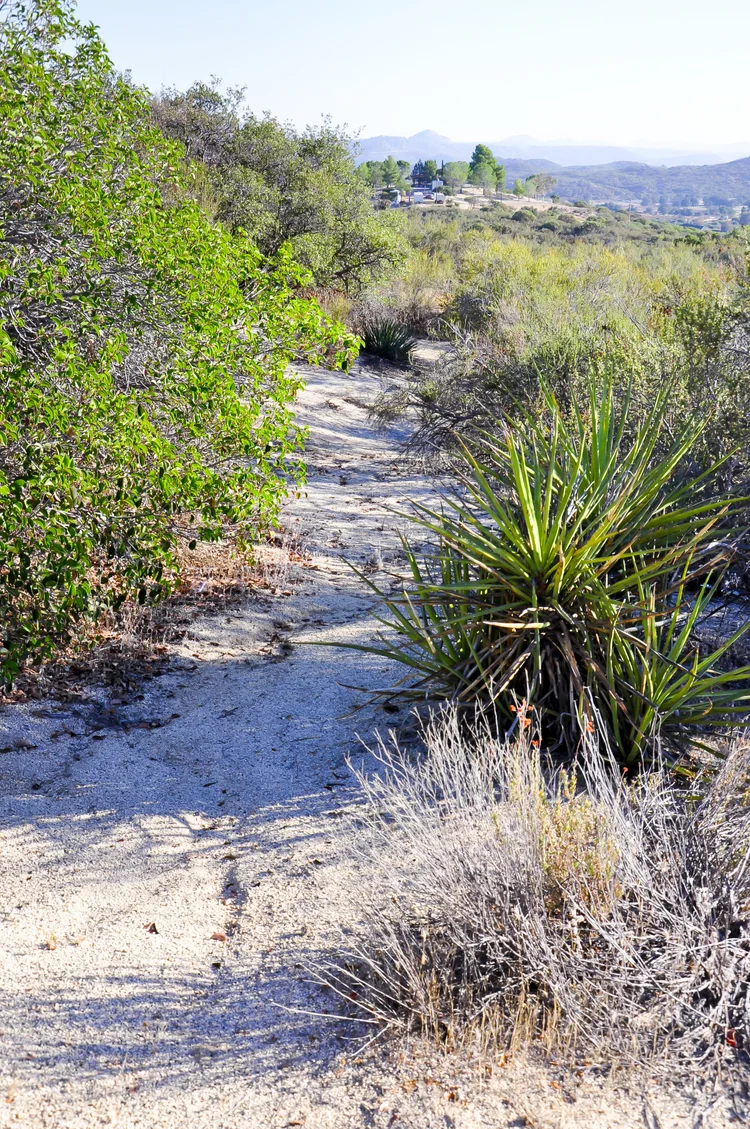 Admissions — San Diego Freedom Ranch