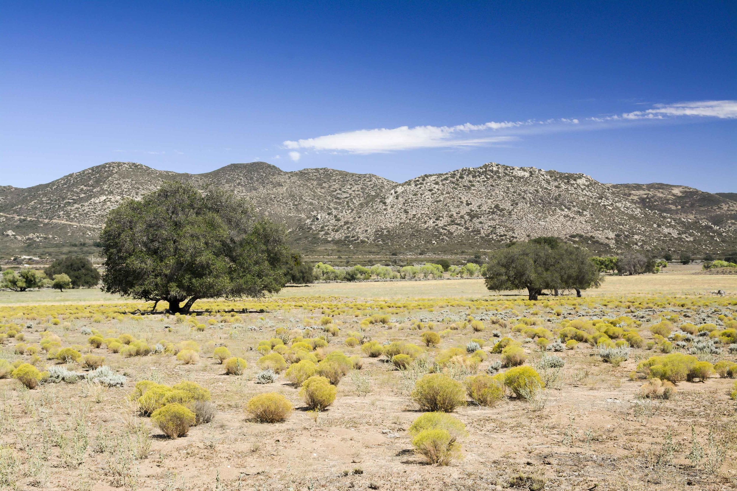 San Diego Freedom Ranch