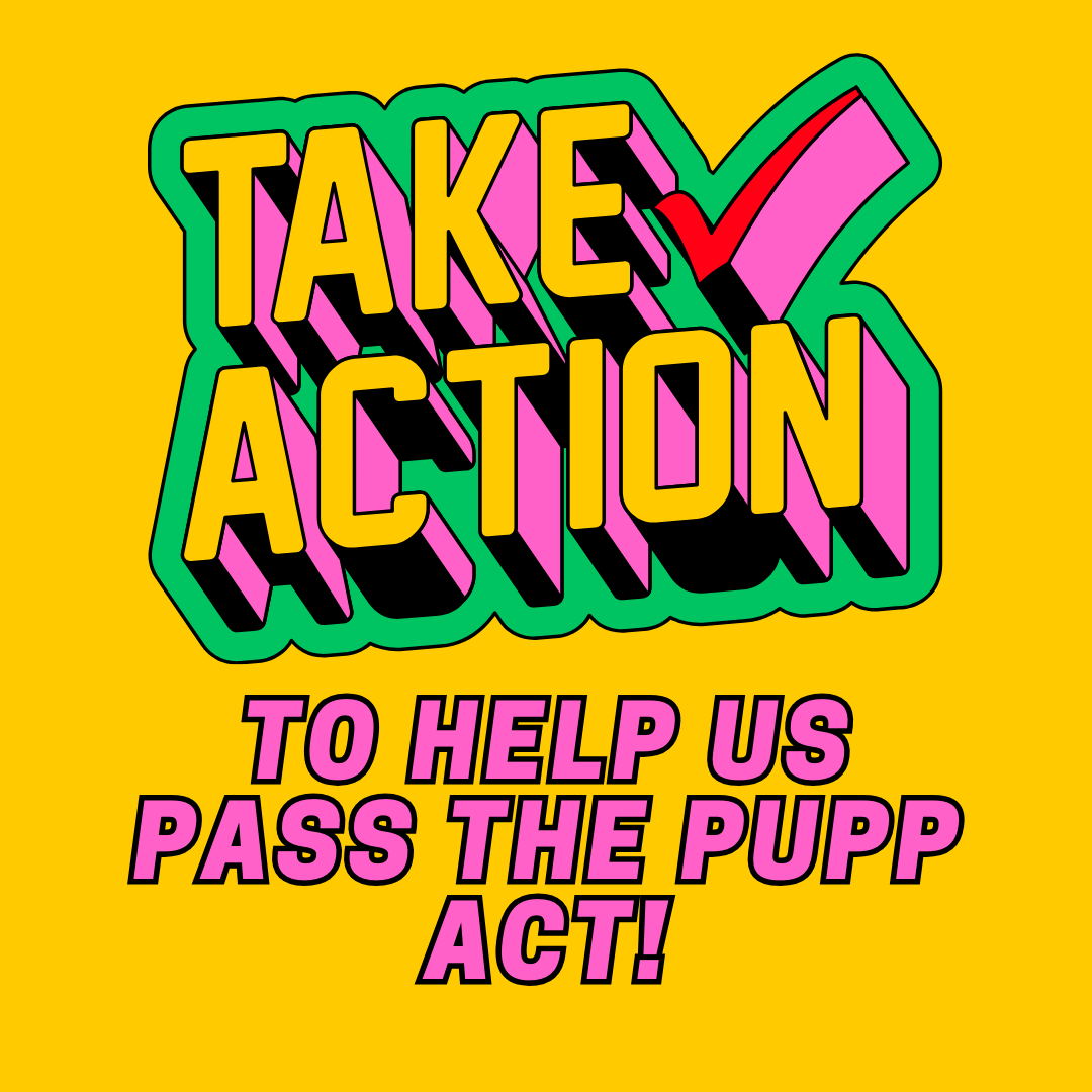 #PUPPAct Social Media Toolkit — My Dog is My Home