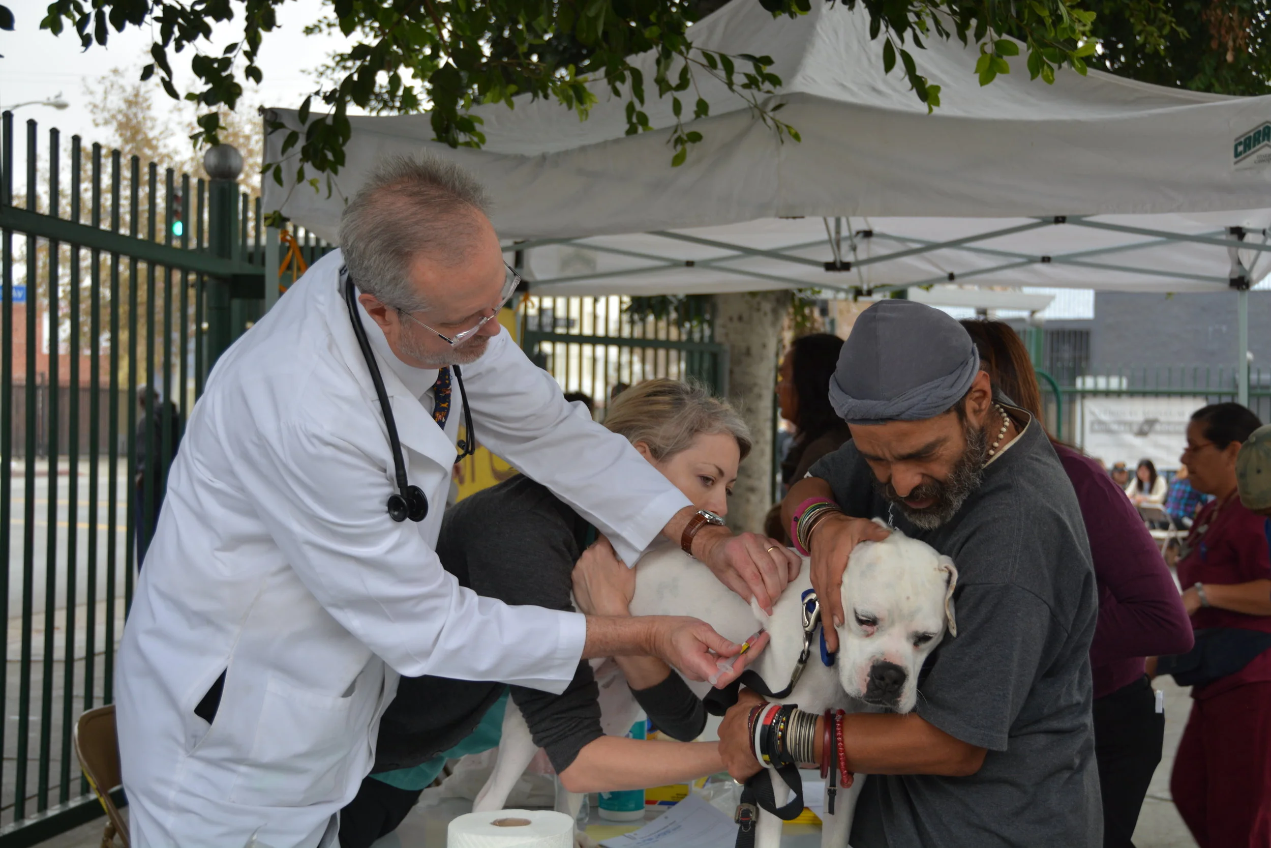 Who We Are — My Dog is My Home