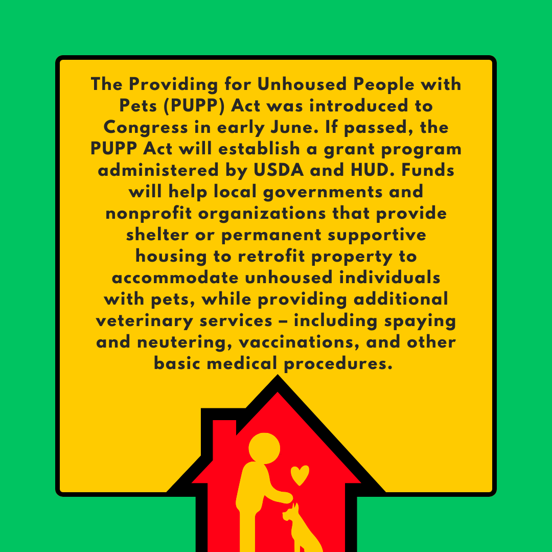 #PUPPAct Social Media Toolkit — My Dog is My Home