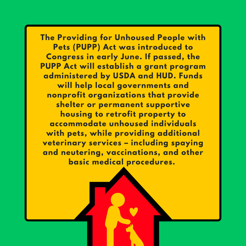 #PUPPAct Social Media Toolkit — My Dog is My Home