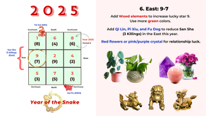 2025, year of the snake, Feng Shui analysis and setup suggestions ...