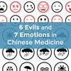 6 Evils and 7 Emotions in Chinese Medicine — Picture Healer - Feng Shui ...