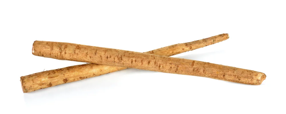 Stir fried Niu Bang (Burdock root) recipe — Picture Healer - Feng Shui ...