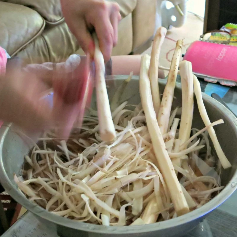 Stir fried Niu Bang (Burdock root) recipe — Picture Healer - Feng Shui ...