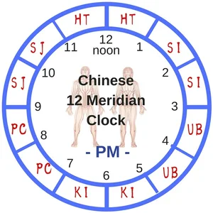 Following the Chinese meridian clock for optimal wellness — Picture ...