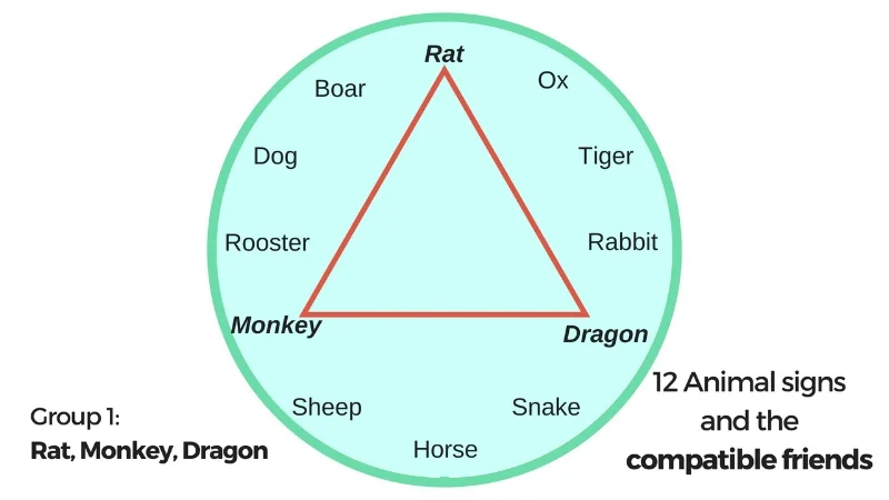 The 12 Chinese animal signs and their compatibility (friends and ...
