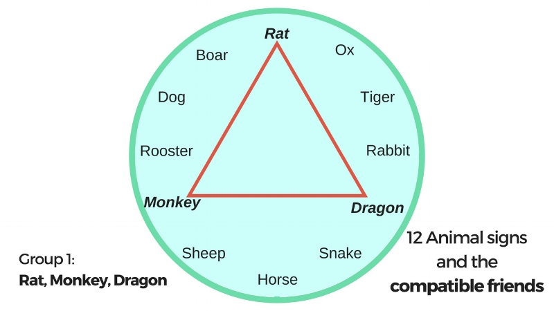 The 12 Chinese animal signs and their compatibility (friends and ...