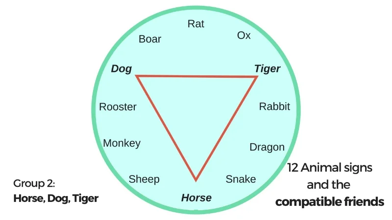 The 12 Chinese animal signs and their compatibility (friends and ...