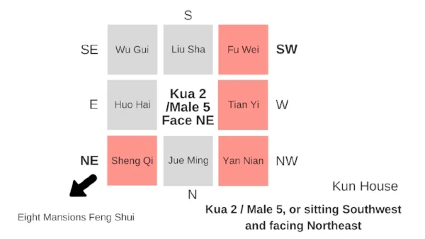 Eight Mansions Feng Shui and the 8 charts — Picture Healer - Feng Shui ...