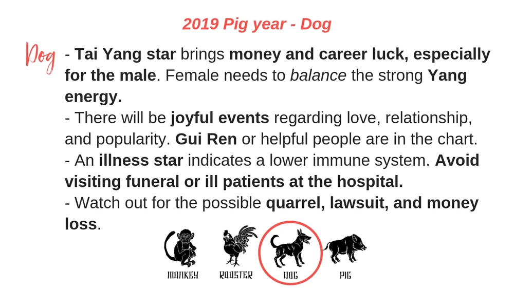 Part 3 of 3 for 2019 Chinese animal sign analysis: Monkey, Rooster, Dog ...