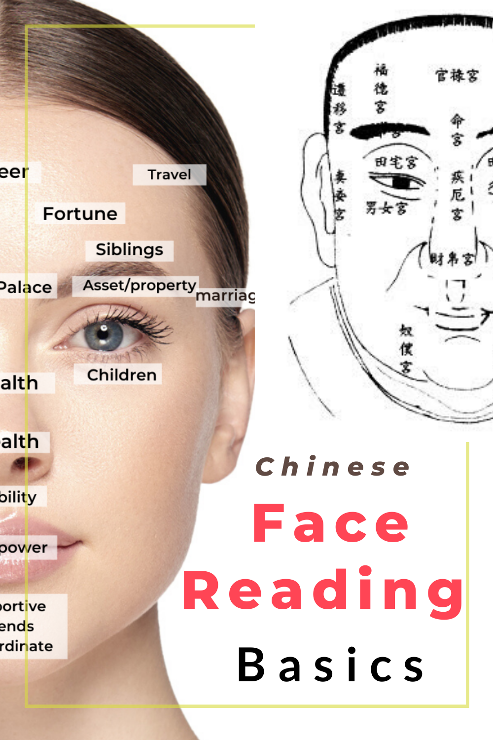 Chinese Face Reading Basics Picture Healer Feng Shui Craft Art