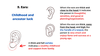 More Chinese face reading - 12 common face features and meanings ...
