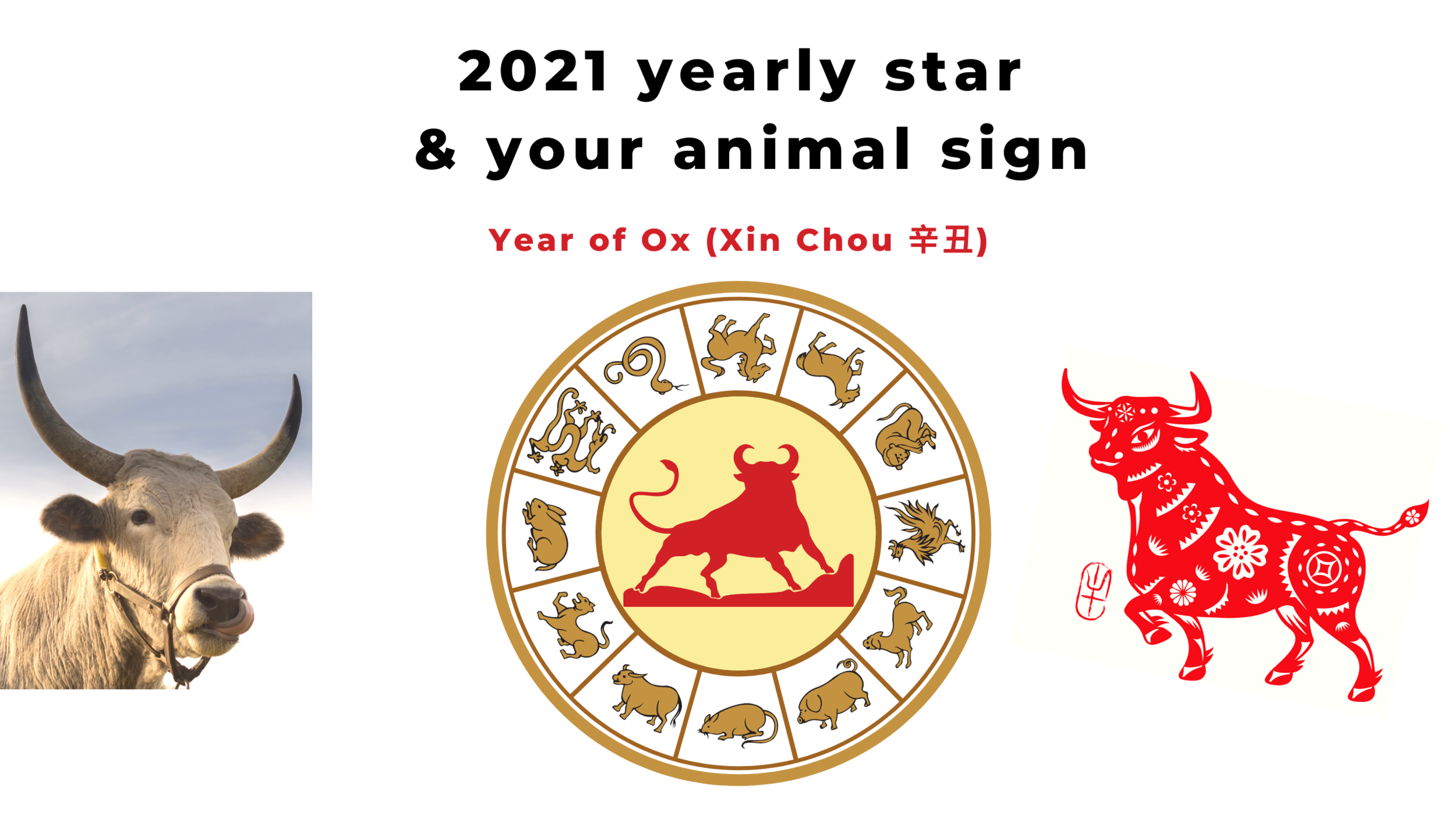 2021 Ox year animal sign horoscope - Part 1: Ox, Tiger, Rabbit, Dragon ...