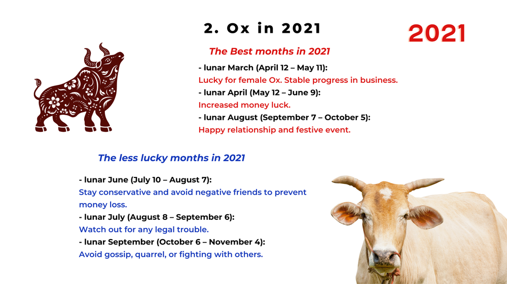 2021 Ox year Chinese Zodiac Analysis - Part 1 of 4: Rat, Ox, and Tiger ...