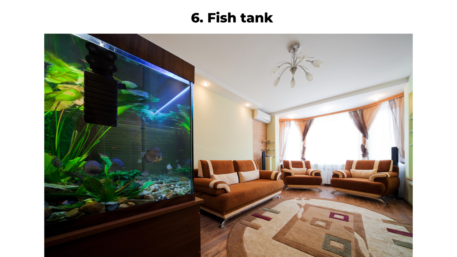 20 Popular Feng Shui items for good luck to display at home — Picture ...