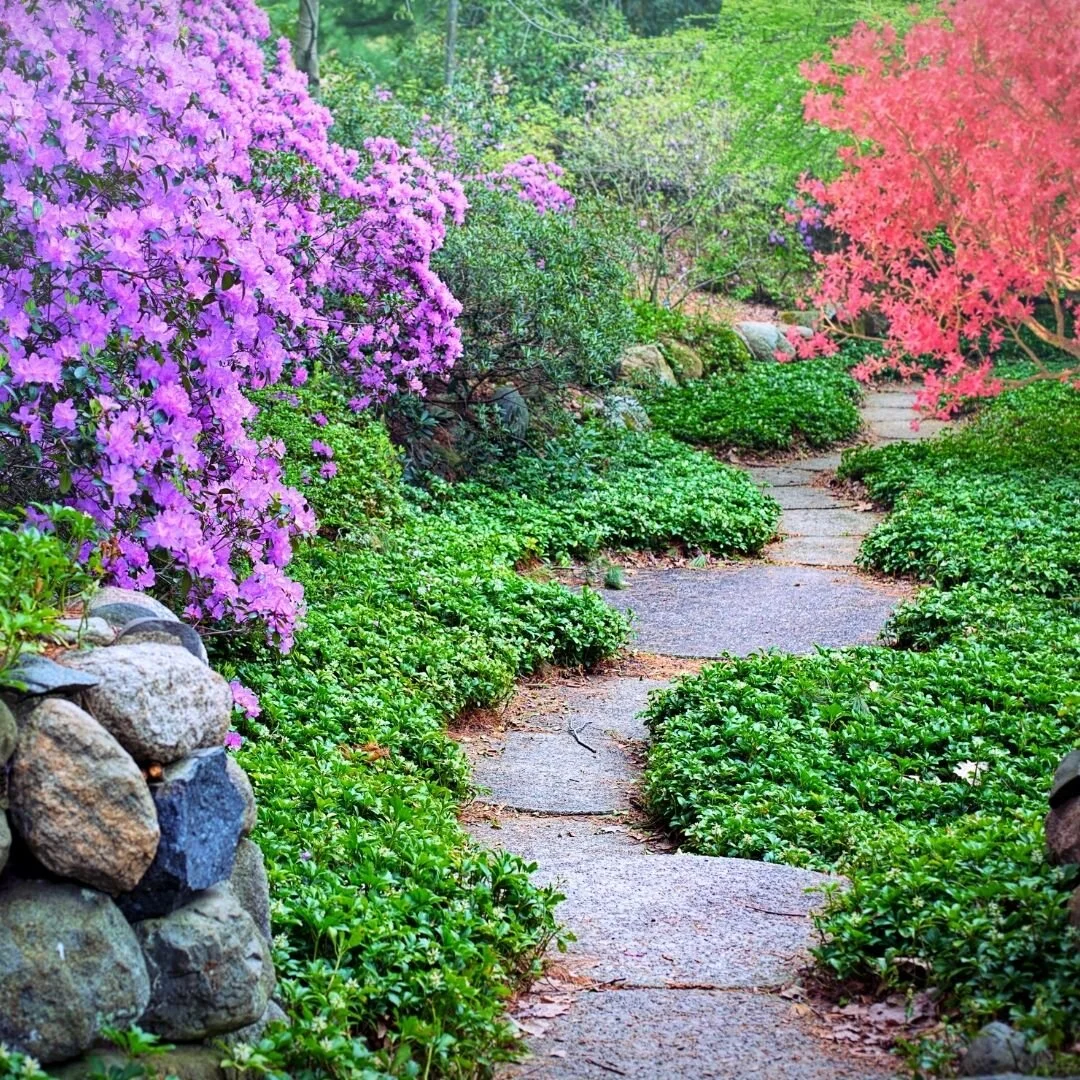 Feng Shui Landscape Design