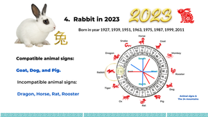 2023 Rabbit, Dragon, and Snake Chinese Zodiac forecast (part 2 of 3 ...