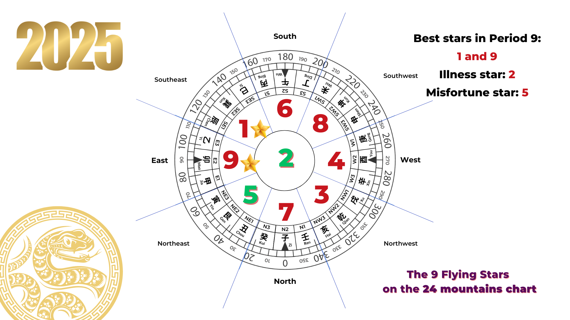 The 2025 year of the snake Flying Star Feng Shui and afflictions ...