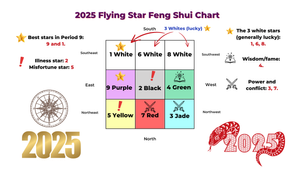 The 2025 year of the snake Flying Star Feng Shui and afflictions ...