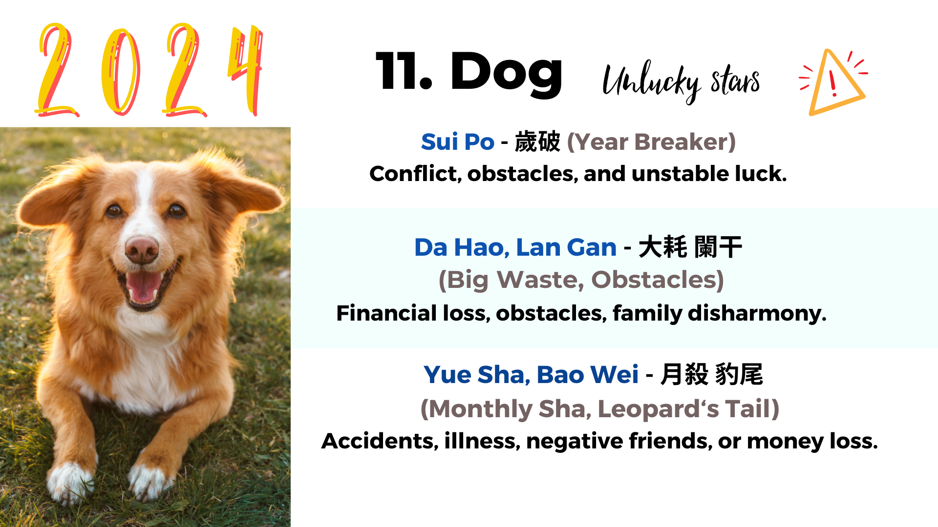 2024 Chinese zodiac forecast part 4: Rooster, Dog, and Pig — Picture ...