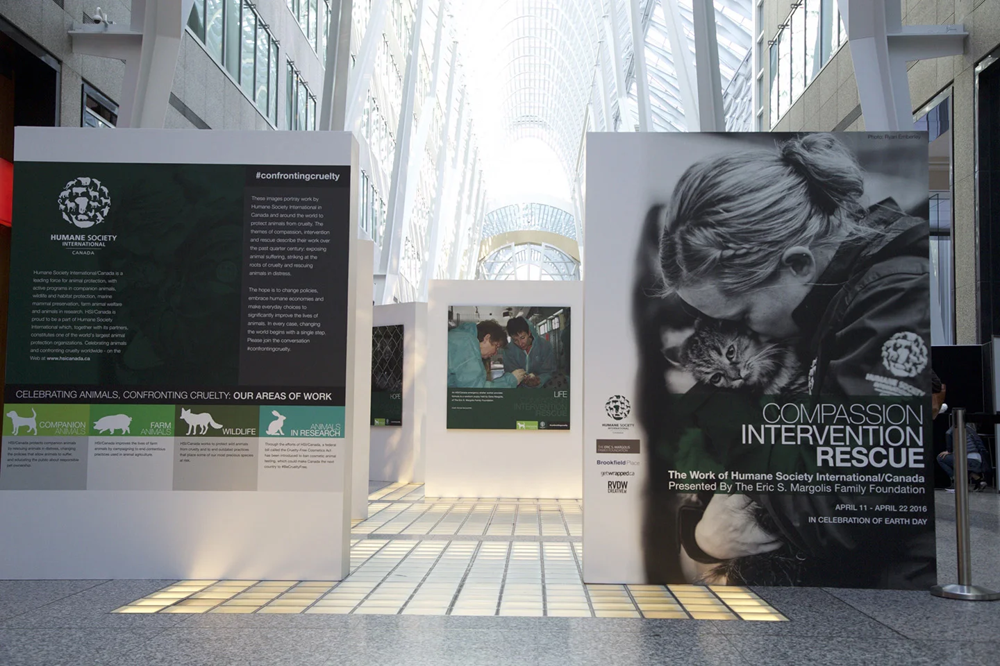 ERIC S. MARGOLIS FAMILY FOUNDATION