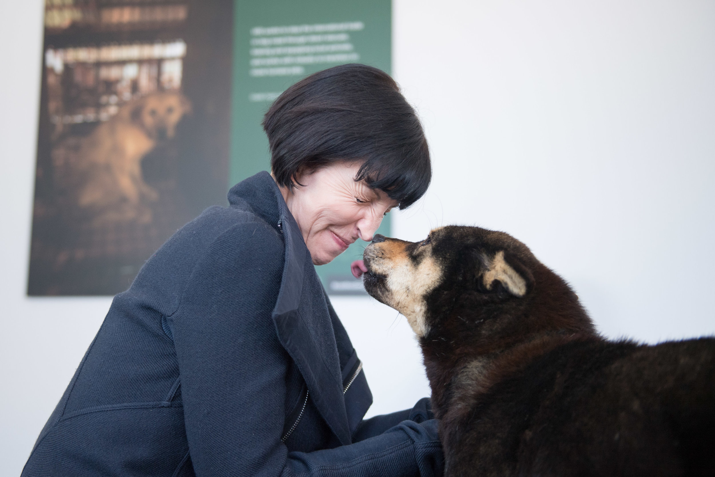 80 DOGS RESCUED — ERIC S. MARGOLIS FAMILY FOUNDATION