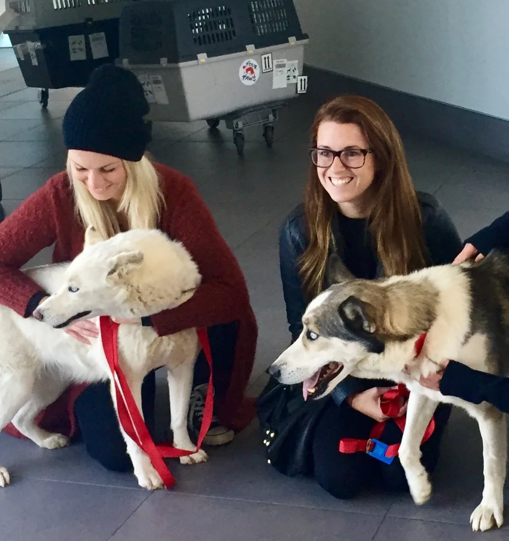 ERIC S. MARGOLIS FAMILY FOUNDATION