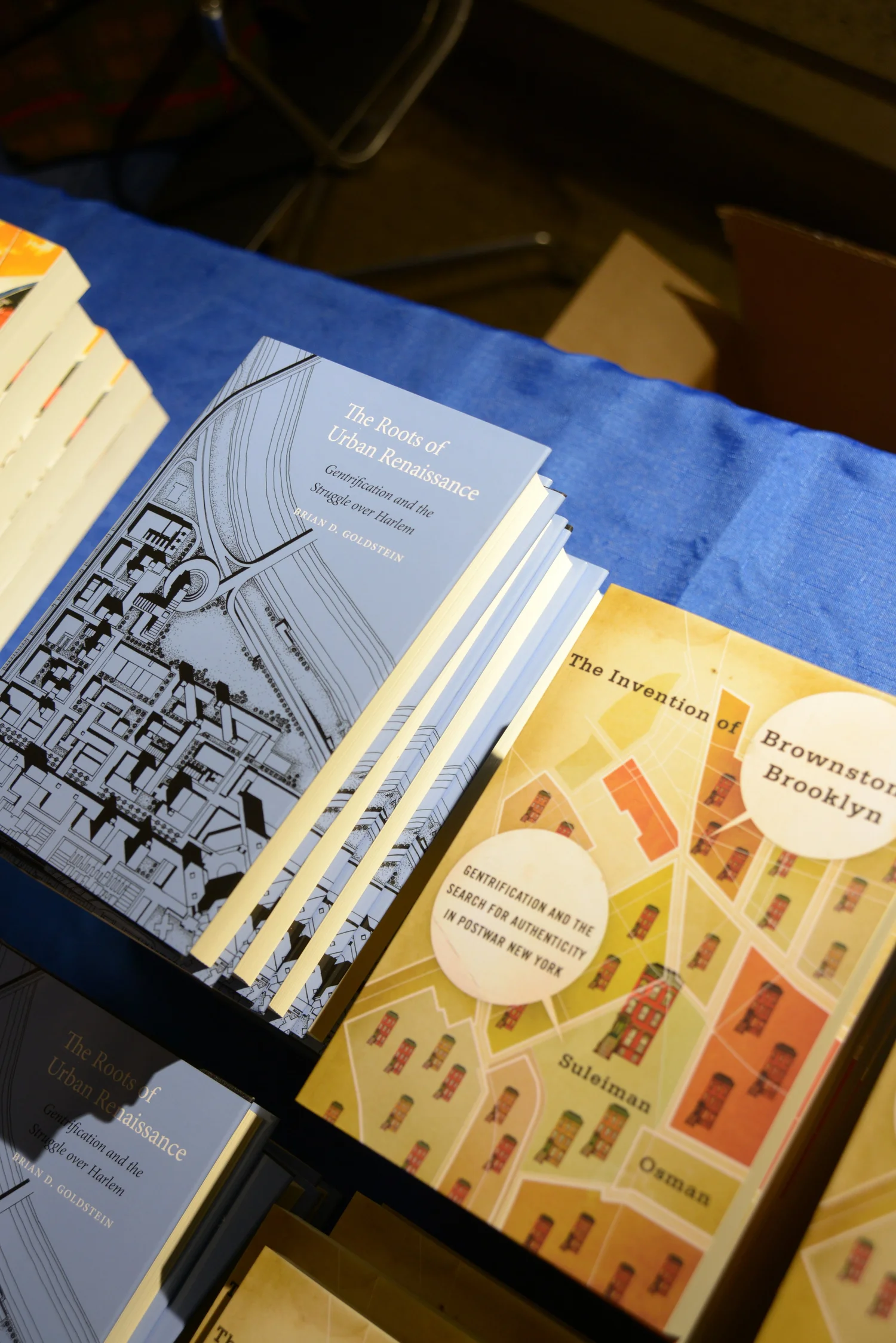 Urban Transformation and Gentrification in New York City — HAAUS